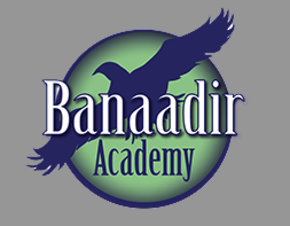 Roell Painting - Banaadir Academy- Minneapolis